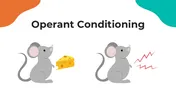 Get This Operant Conditioning PowerPoint And Canva Slides