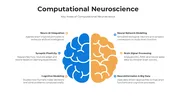 Computational Neuroscience PowerPoint And Canva Templates