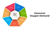 Chemical Oxygen Demand PowerPoint And Canva Slides