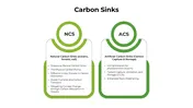 Get This Carbon Sinks PowerPoint And Google Slides