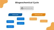 Biogeochemical Cycle PowerPoint And Canva Templates