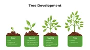 Get This Tree Development PowerPoint And Canva Templates