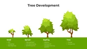 Get This Tree Development PowerPoint And Canva Templates