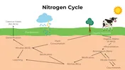 Download This Nitrogen Cycle PowerPoint And Google Slides