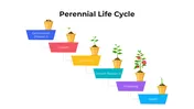 Get This Perennial Life Cycle PowerPoint And Canva Slides