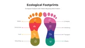 Ecological Footprints PowerPoint And Canva Templates