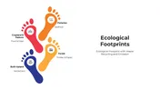 Ecological Footprints PowerPoint And Canva Templates