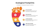 Ecological Footprints PowerPoint And Canva Templates