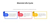 Try This Biennial Life Cycle PowerPoint And Canva Slides