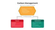 Get Now! Carbon Management PowerPoint And Google Slides