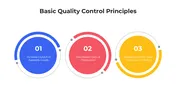 Basic Quality Control Principles PPT And Canva Slides
