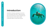 Get Now! World Sea Turtle Day PowerPoint And Canva Slides