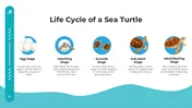 Get Now! World Sea Turtle Day PowerPoint And Canva Slides