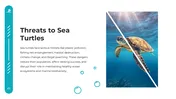 Get Now! World Sea Turtle Day PowerPoint And Canva Slides