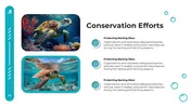 Get Now! World Sea Turtle Day PowerPoint And Canva Slides