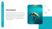 Get Now! World Sea Turtle Day PowerPoint And Canva Slides
