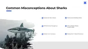 Explore Shark Awareness Day PowerPoint And Canva Slides