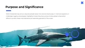 Explore Shark Awareness Day PowerPoint And Canva Slides