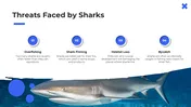Explore Shark Awareness Day PowerPoint And Canva Slides