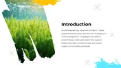 Explore World Seagrass Day PowerPoint And Canva Slides