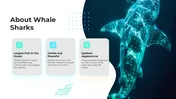 International Whale Shark Day PowerPoint And Canva Slides