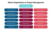 Matrix Organisation In Project Management Presentation