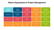 Matrix Organisation In Project Management Presentation