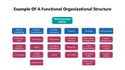 Functional Organizational Structure Google Slides And PPT