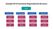 Functional Organizational Structure Google Slides And PPT