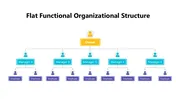 Flat Functional Organizational Structure PowerPoint