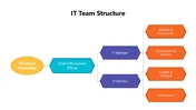 IT Team Structure PPT Presentation And Canva Templates
