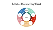 Editable Circular Org Chart PPT and Google Slides Templates