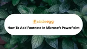 Guide For How To Add Footnote In Microsoft PowerPoint
