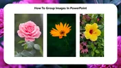 How To Group Images In PowerPoint and Google Slides