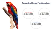 Get this Pet PowerPoint and Google Slides Templates
