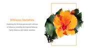 Download Hibiscus PowerPoint And Google Slides Templates