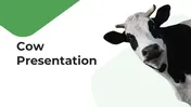 Cow Designs PowerPoint and Google Slides Templates