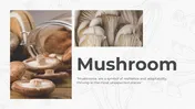 Get Now! Mushroom PowerPoint And Google Slides Templates