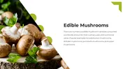 Get Now! Mushroom PowerPoint And Google Slides Templates