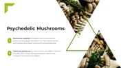 Get Now! Mushroom PowerPoint And Google Slides Templates