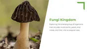 Download Mushroom PowerPoint and Google Slides Templates