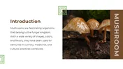 Mushroom PowerPoint Designs And Google Slides Themes