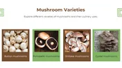 Mushroom PowerPoint Designs And Google Slides Themes
