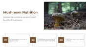 Mushroom PowerPoint Designs And Google Slides Themes