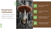 Mushroom PowerPoint Designs And Google Slides Themes