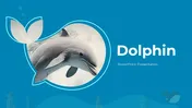 Dolphin PowerPoint Presentation And Google Slides Themes