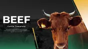 Beef Cattle PowerPoint Presentation And Google Slides