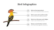 Discover Now! Bird Infographics Presentation For Your Needs