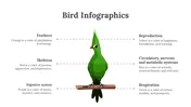 Discover Now! Bird Infographics Presentation For Your Needs