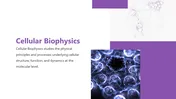 Biophysics PPT Presentation and Google Slides Templates